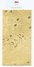 RILIEVO - Fiber Reinforced Plaster Base Coat for Deep Texture by San ...